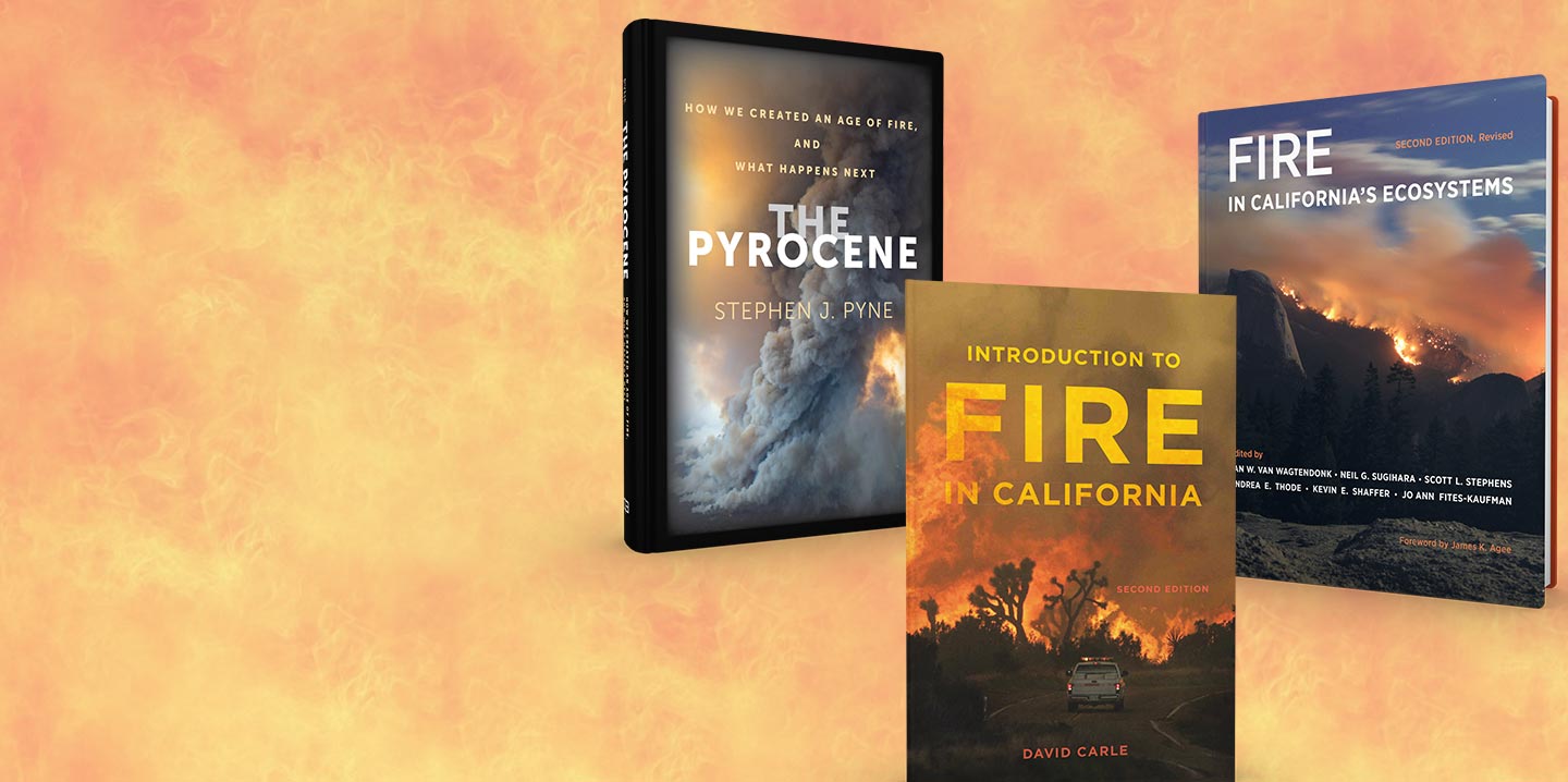 University of California Press